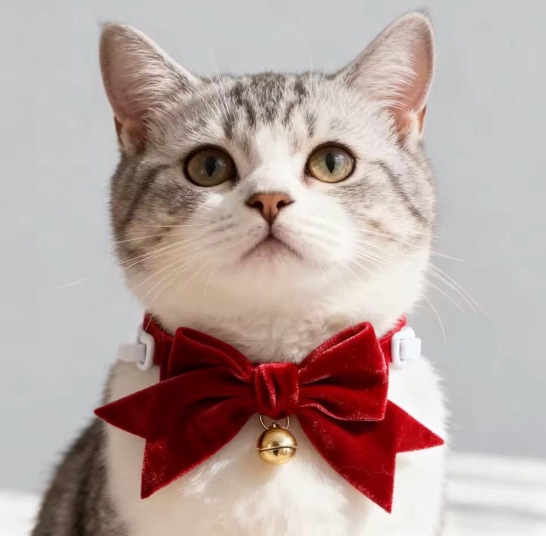 Cat Bow Collar With Bell - Adjustable - Red or Pink - Etsy
