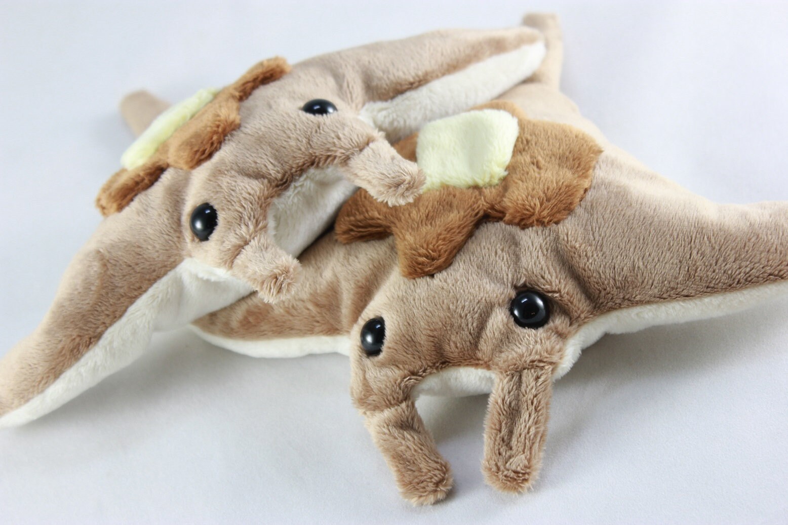 Sea Pancake Manta Ray Plush | Etsy