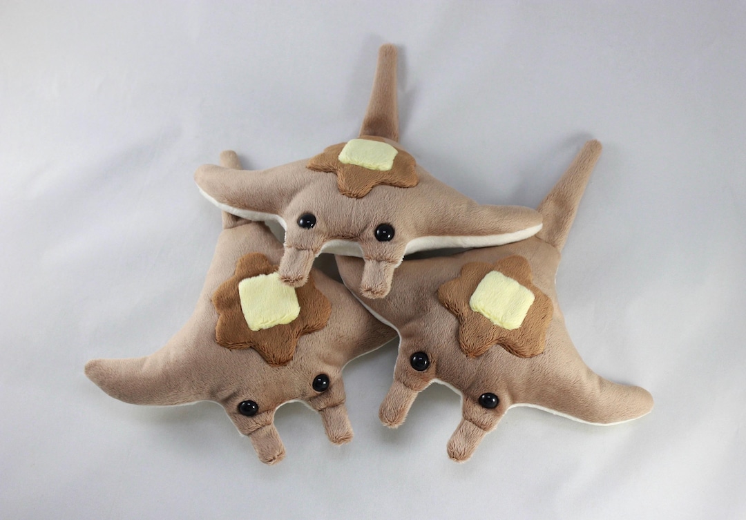 Sea Pancake Manta Ray Plush - Etsy
