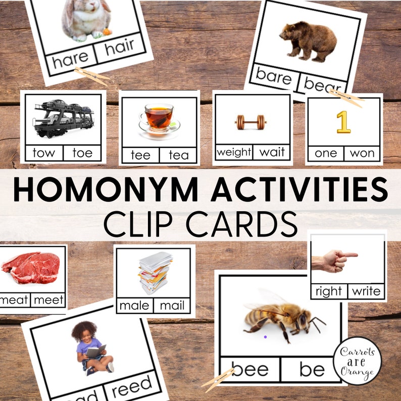 Homonyms - Clip Cards - Montessori Grammar - Etsy