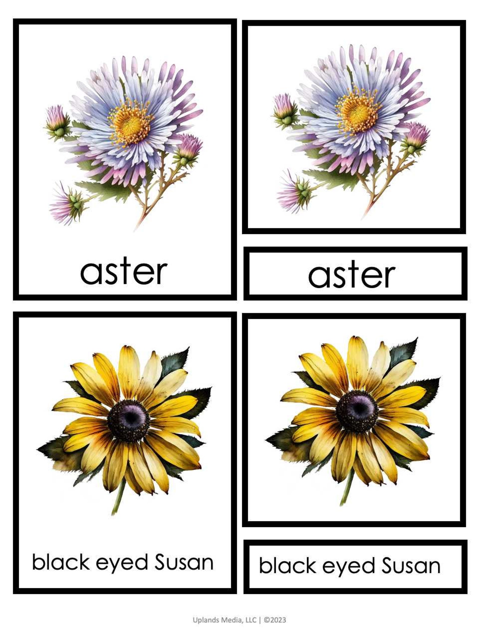 Flower Montessori Preschool Activities Pack - Spring - Etsy