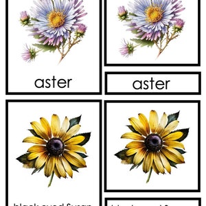 Flower Montessori Preschool Activities Pack - Spring - Etsy