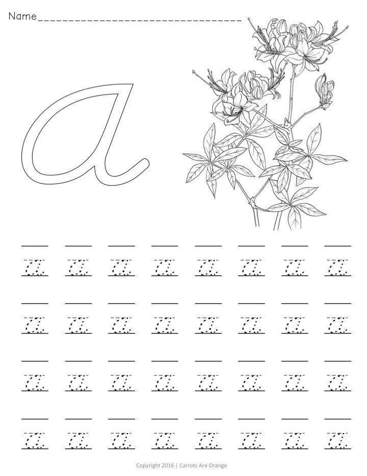 Montessori Language Rainbow Letters - Spring - Etsy