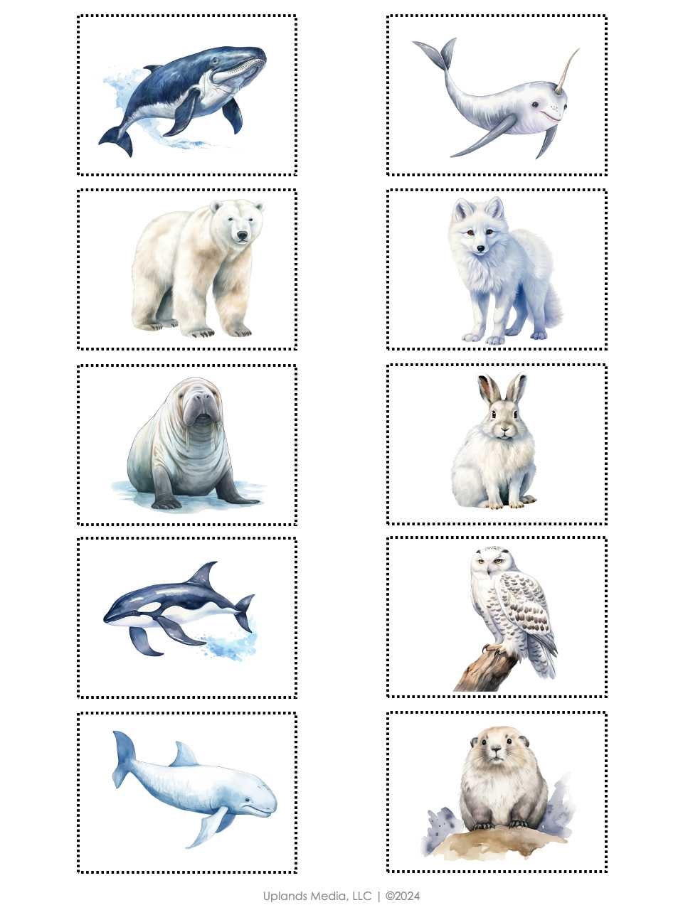Montessori Arctic Animals Preschool Activities Pack - Etsy