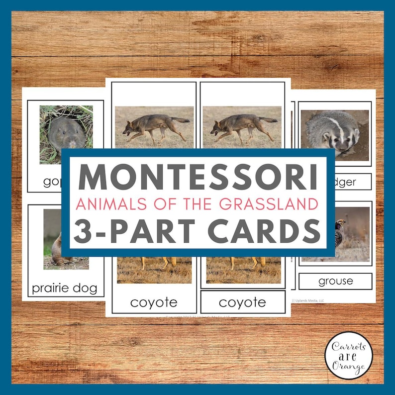 Animal Habitats - Animals of the Temperate Grassland - Montessori 3 ...