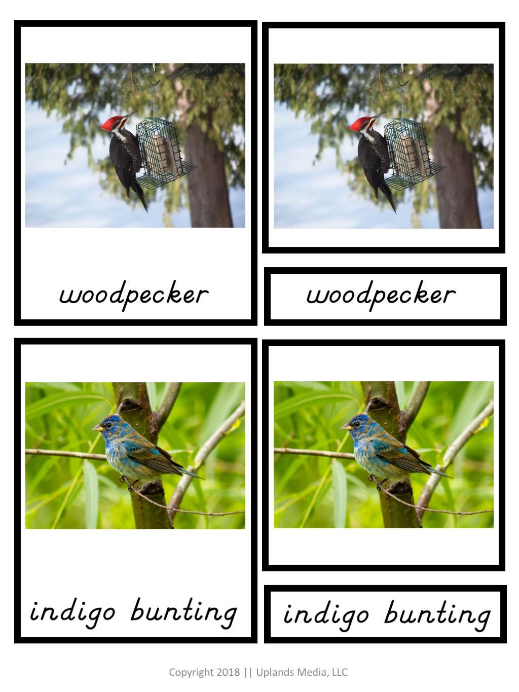Montessori Backyard Birds 3 Part Cards - Etsy