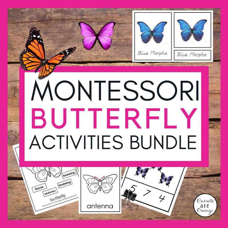 Butterfly Life Cycle Preschool Activities Pack - Montessori Inspired - Etsy