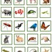 Montessori Science Plant & Animal Sort - Etsy