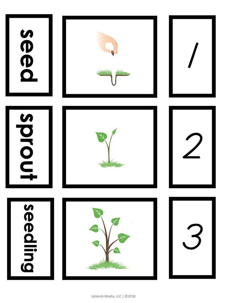 Apple Theme Activities Pack Montessori Inspired - Etsy