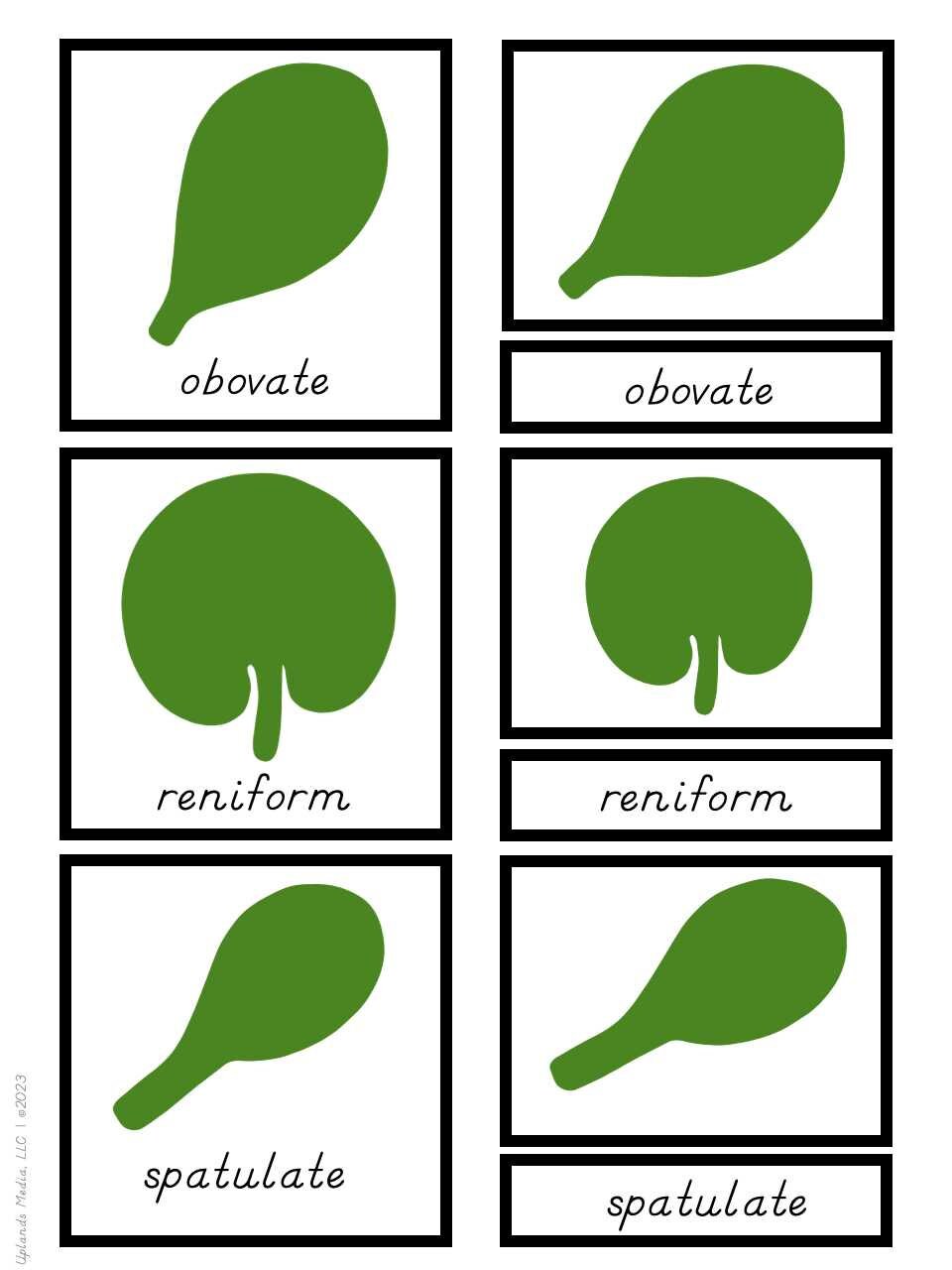Leaf Shapes Montessori 3 Part Cards for the Botany Cabinet - Etsy