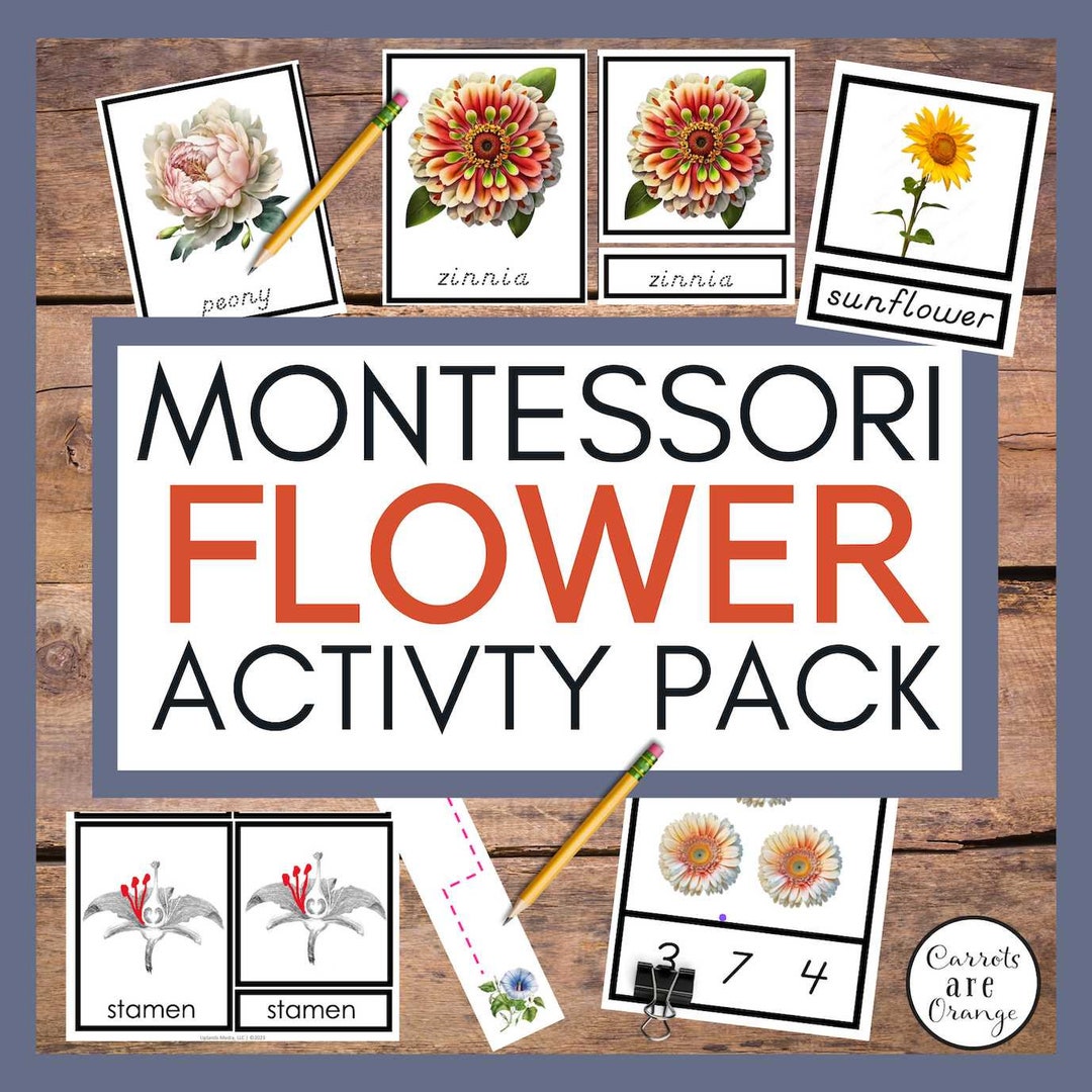 Flower Montessori Preschool Activities Pack - Spring - Etsy