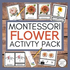 Flower Montessori Preschool Activities Pack - Spring - Etsy