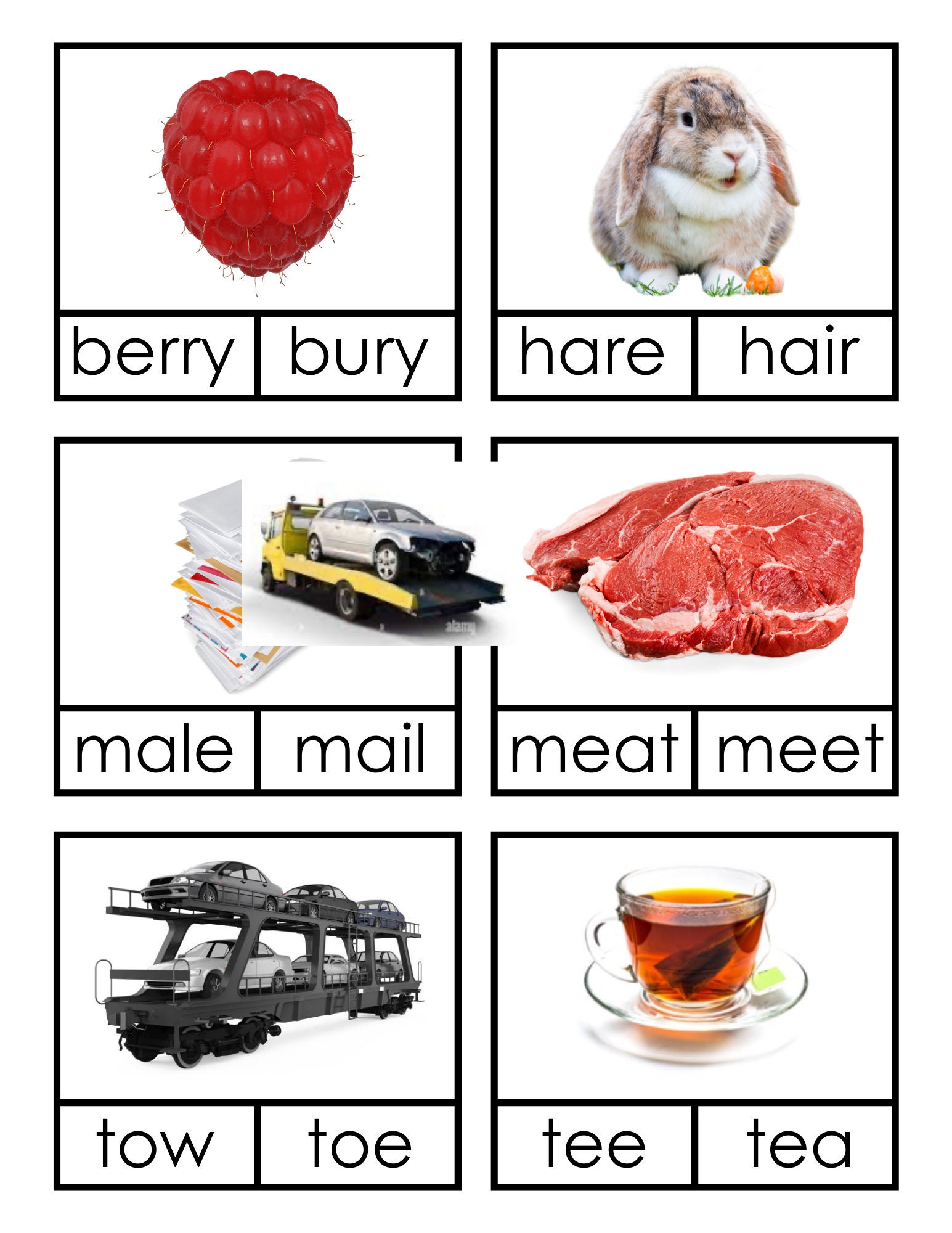 Homonyms - Clip Cards - Montessori Grammar - Etsy