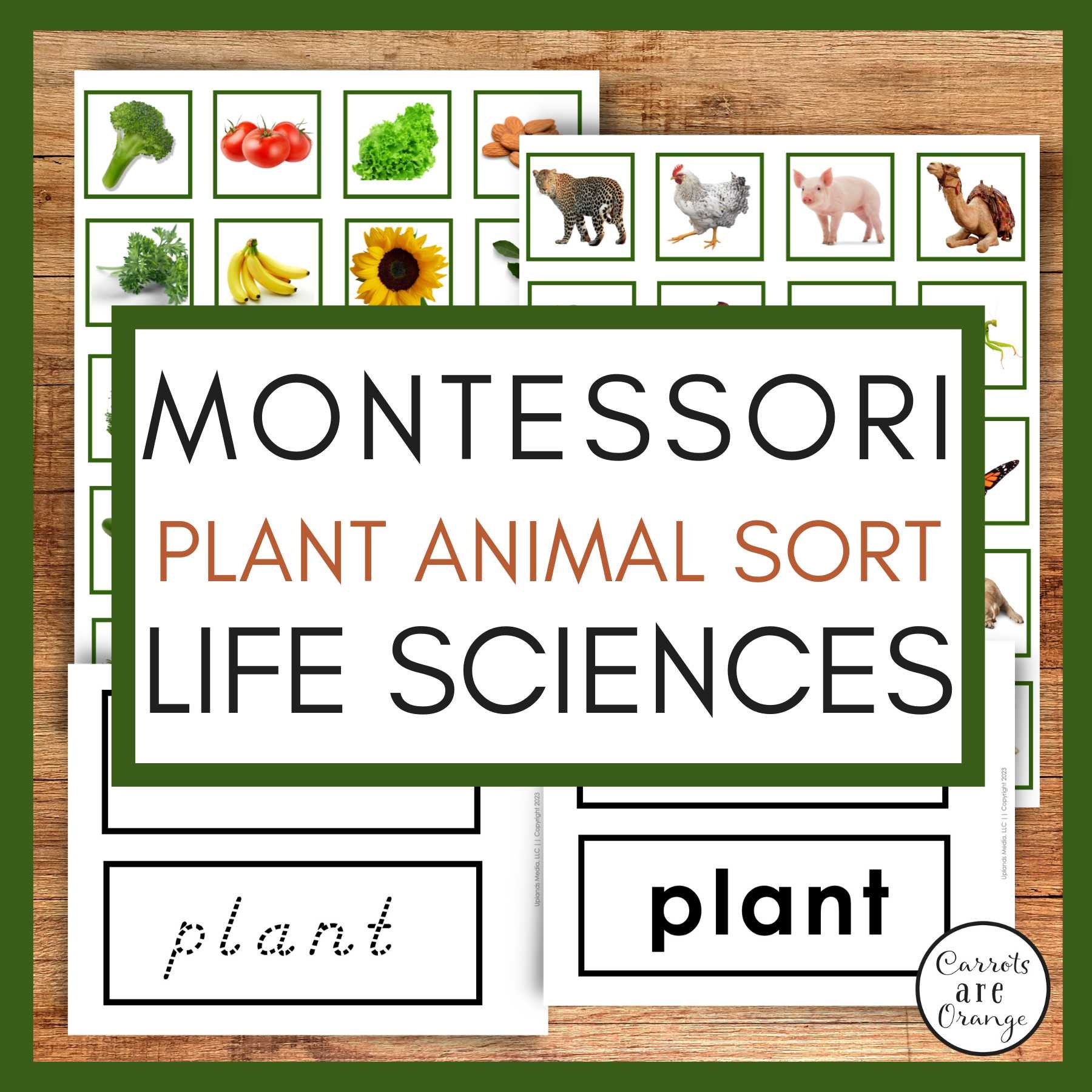 Montessori Science Plant & Animal Sort - Etsy