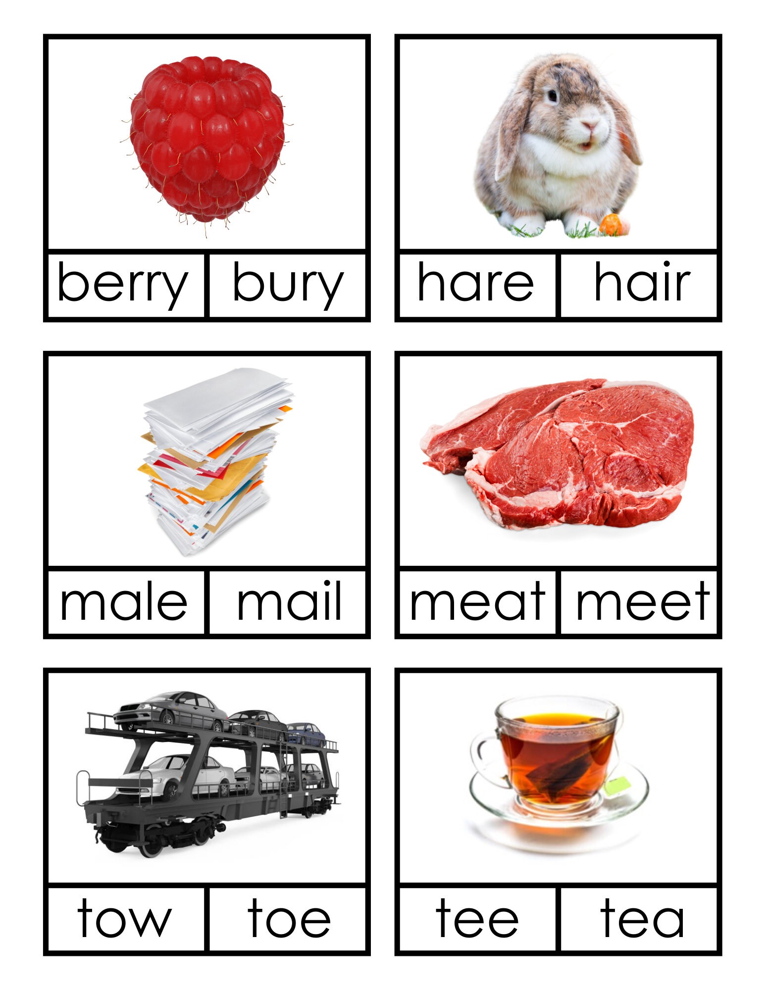 Homonyms - Clip Cards - Montessori Grammar - Etsy