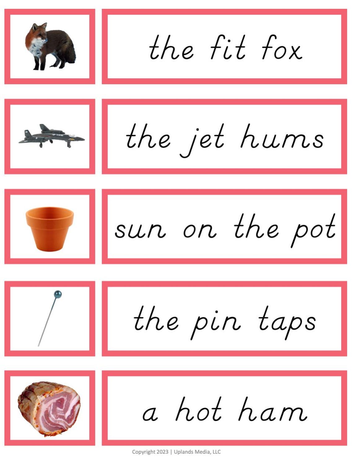 CVC Activity - Montessori Language - Pink Series Short Vowel Word ...