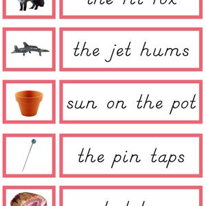 CVC Activity - Montessori Language - Pink Series Short Vowel Word ...