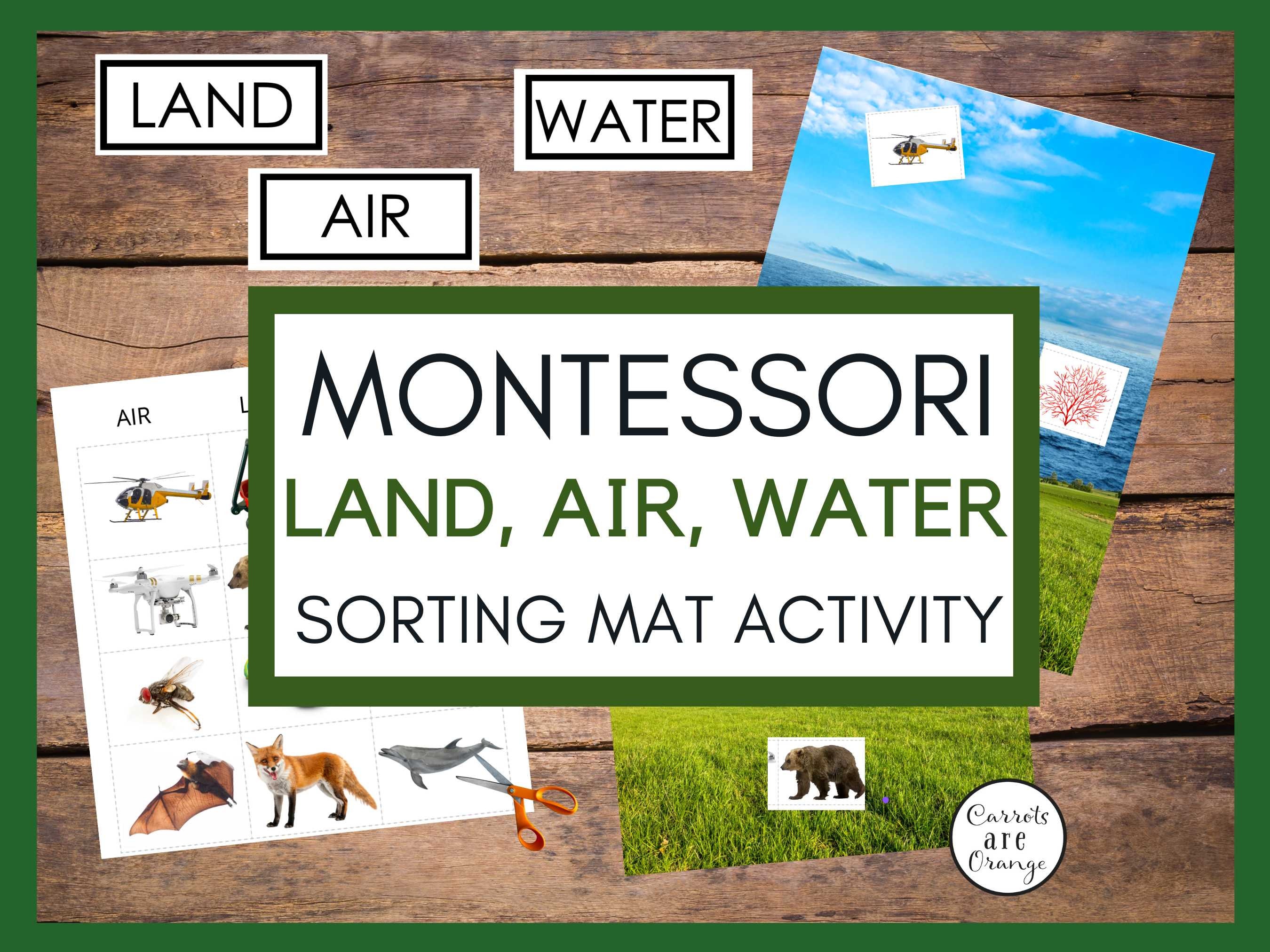 Montessori Geography Preschool Activity Land, Air, Water Mat Sorting - Etsy