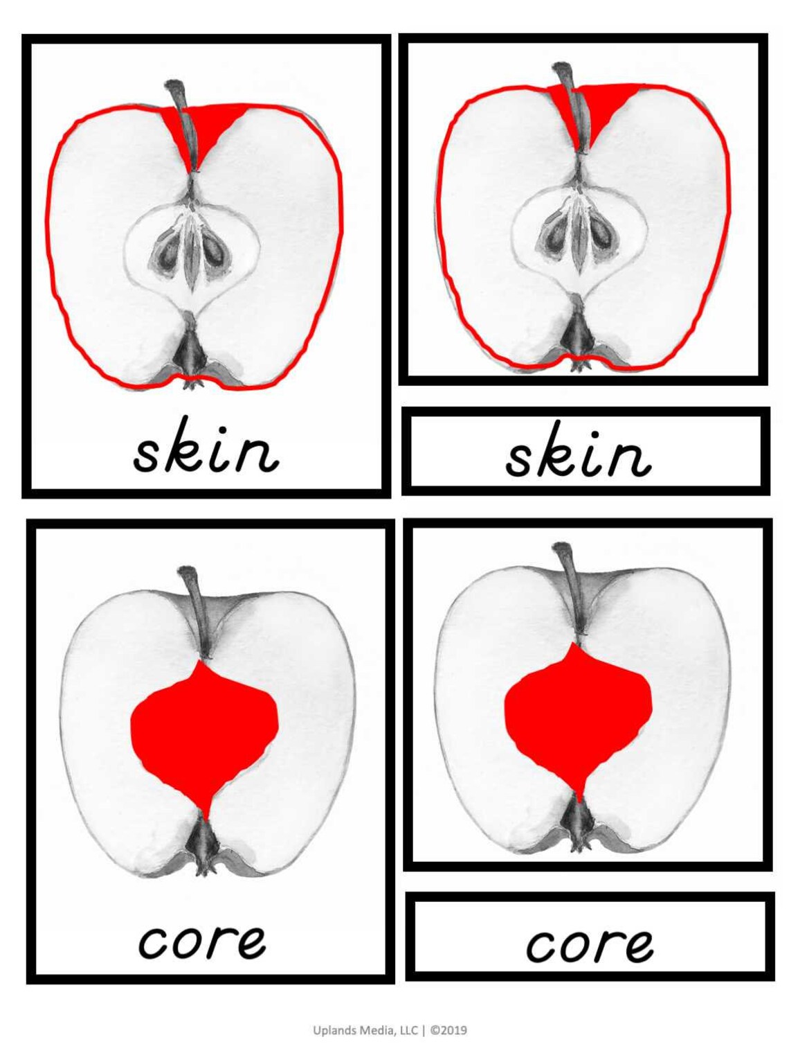 Apple Theme Activities Pack Montessori Inspired - Etsy