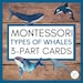 Montessori 3 Part Cards - Types of Whales - Etsy