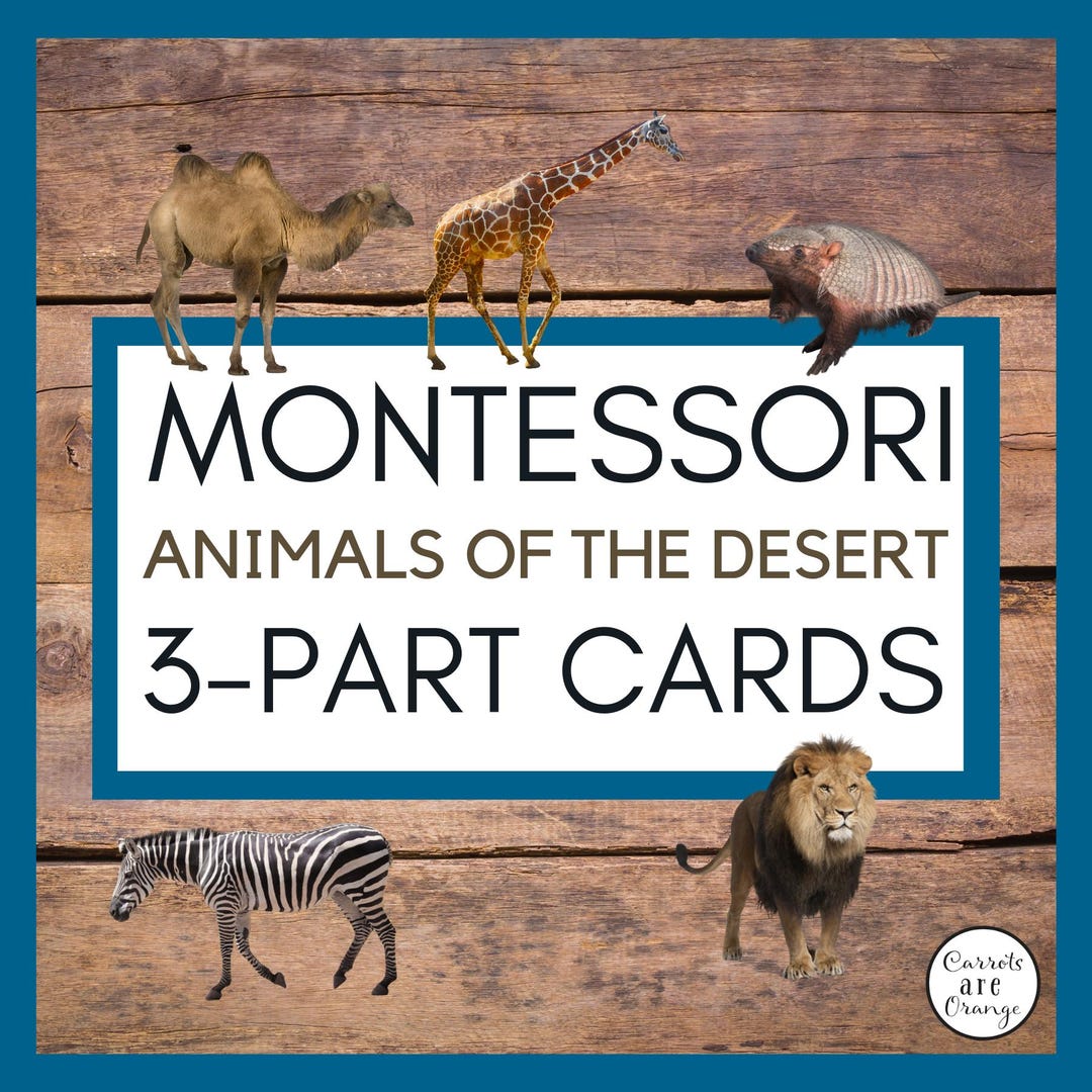 Animal Habitats - Animals of the Desert - Montessori 3 Part Cards - Etsy