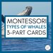 Montessori 3 Part Cards - Types of Whales - Etsy