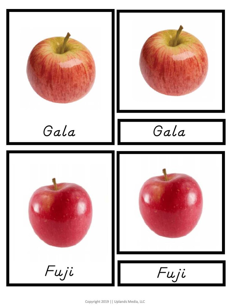 Apple Theme Activities Pack Montessori Inspired - Etsy