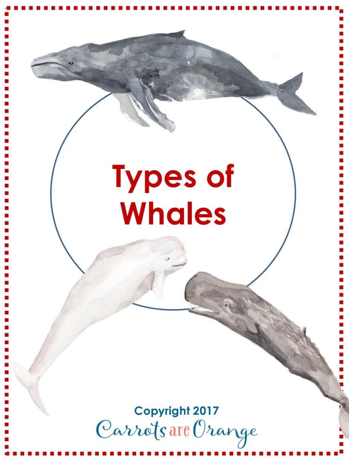 Montessori 3 Part Cards - Types of Whales - Etsy