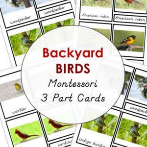 Montessori Backyard Birds 3 Part Cards - Etsy
