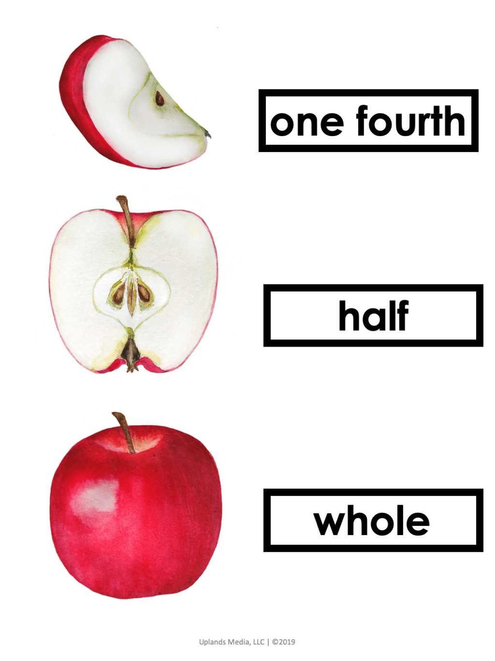 Apple Theme Activities Pack Montessori Inspired - Etsy