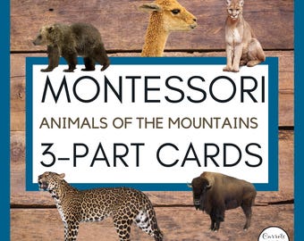 Animal Habitats - Animals of the Temperate Grassland - Montessori 3 ...