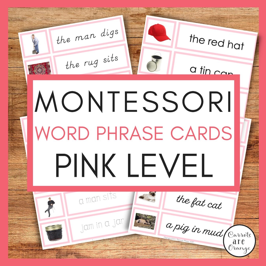 CVC Activity - Montessori Language - Pink Series Short Vowel Word ...