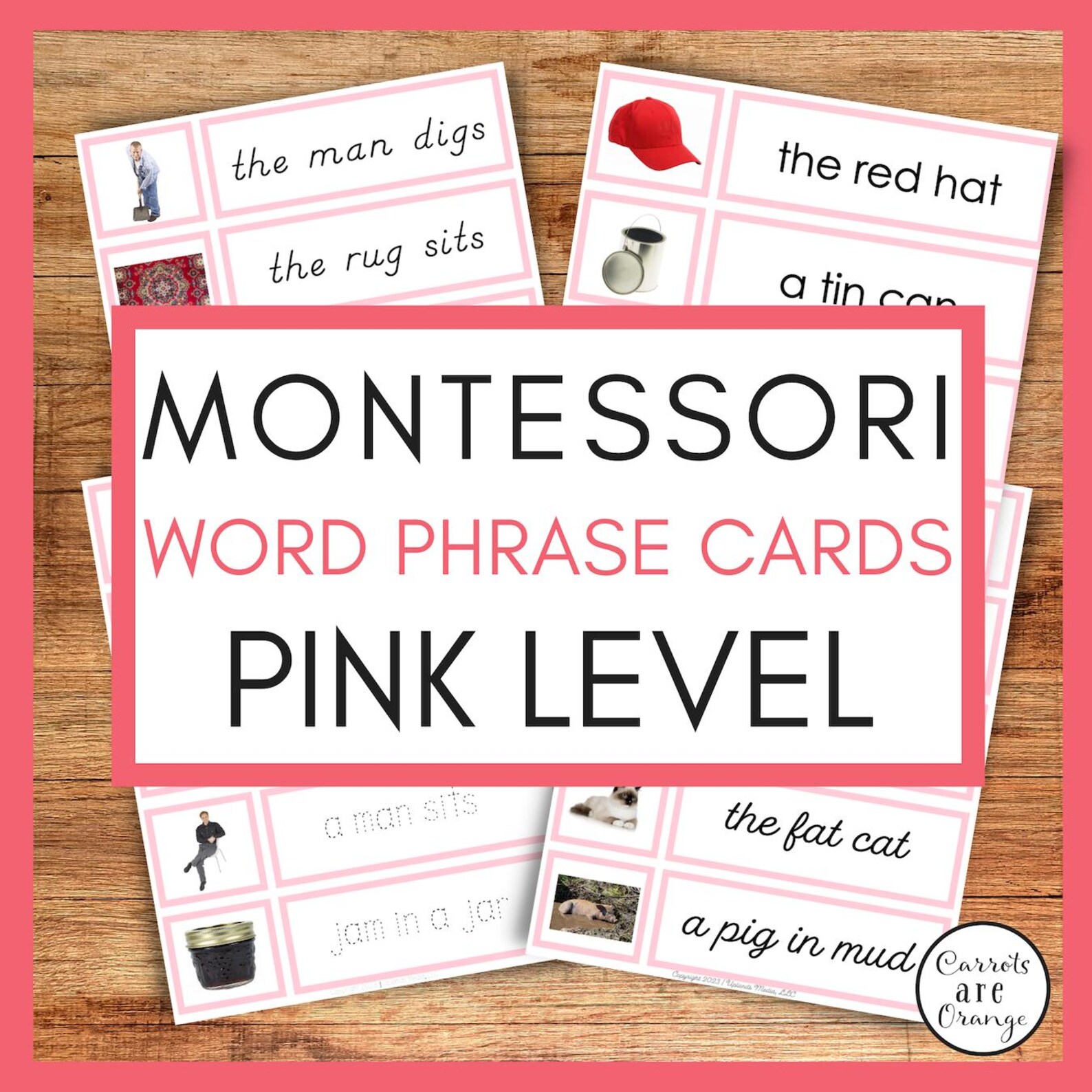 CVC Activity - Montessori Language - Pink Series Short Vowel Word ...