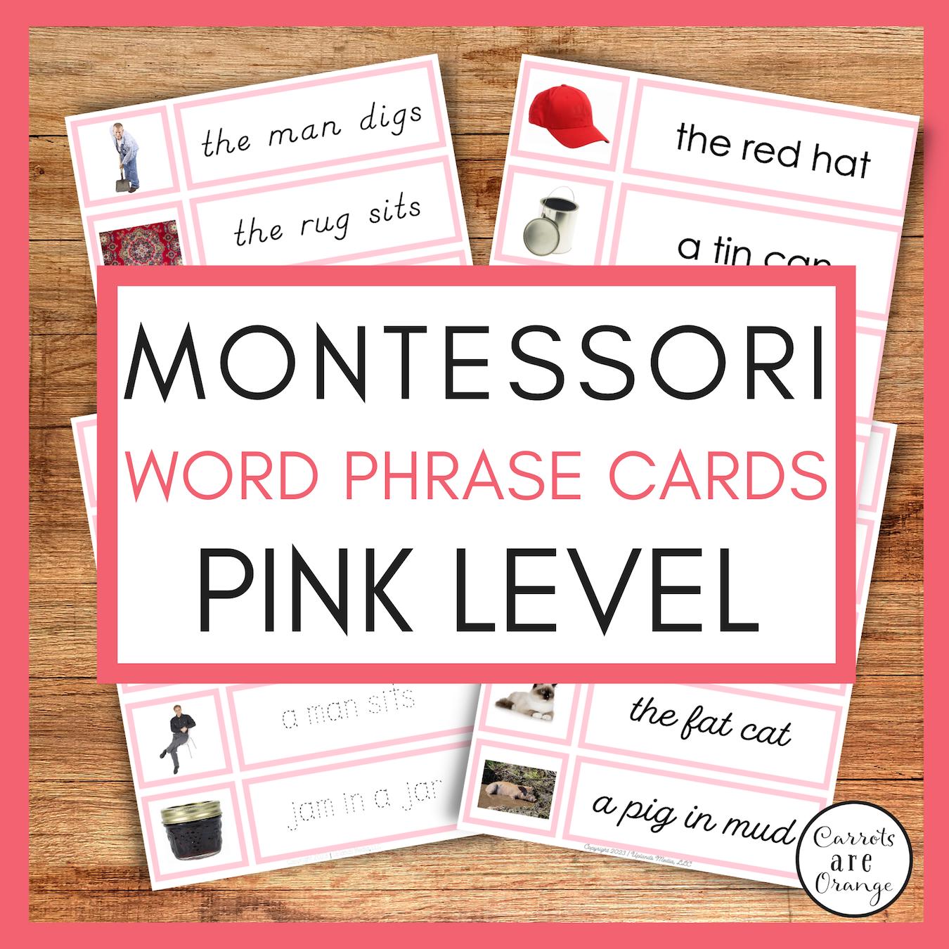 CVC Activity - Montessori Language - Pink Series Short Vowel Word ...
