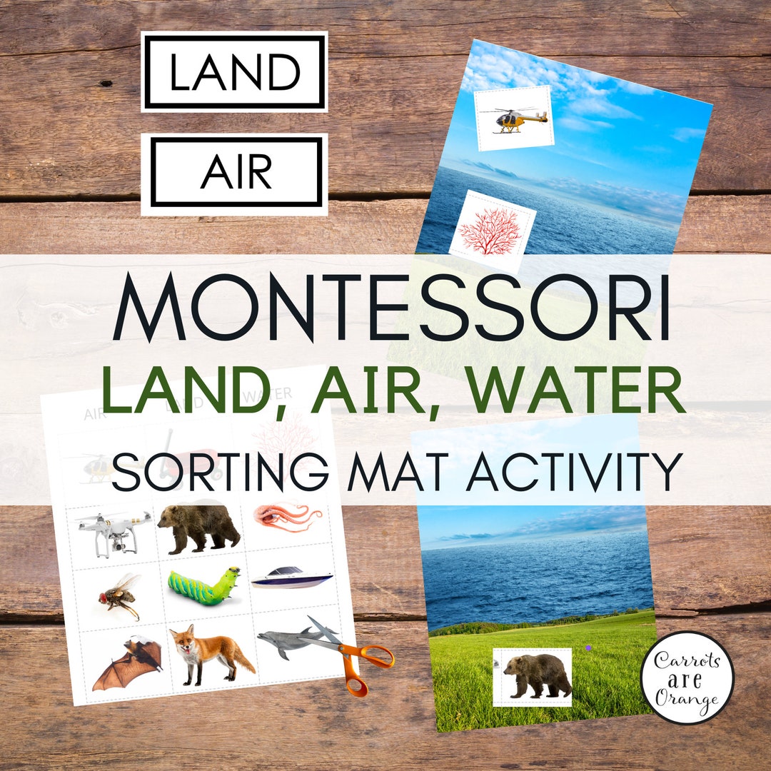 Montessori Geography Preschool Activity Land, Air, Water Mat Sorting - Etsy