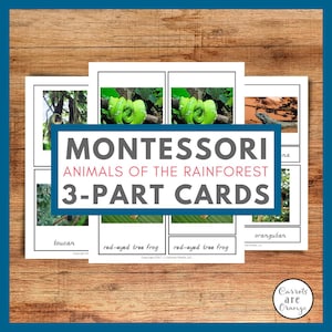 Animal Habitats - Animals of the Rainforest - Montessori 3 Part Cards ...