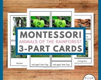 Animal Habitats - Animals of the Temperate Grassland - Montessori 3 ...