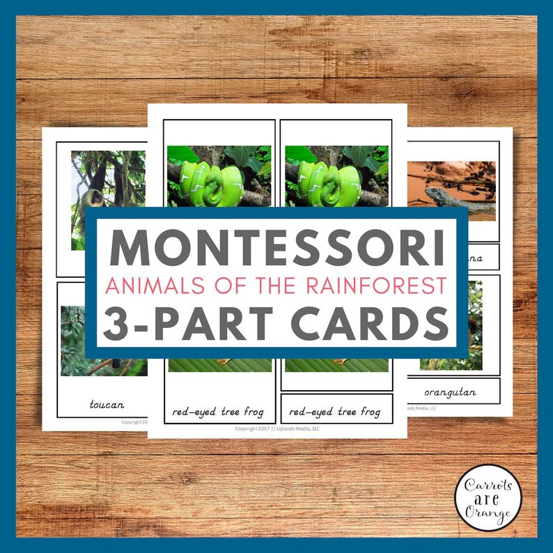 Animal Habitats - Animals of the Rainforest - Montessori 3 Part Cards ...