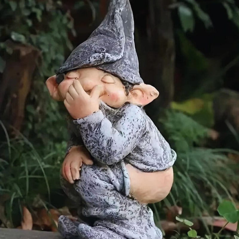 Naughty Garden Gnomes - Etsy