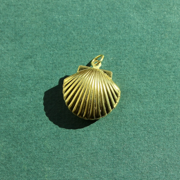 Brass Seashells - Etsy