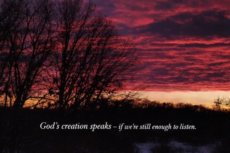 God's Creation Speaks - Etsy