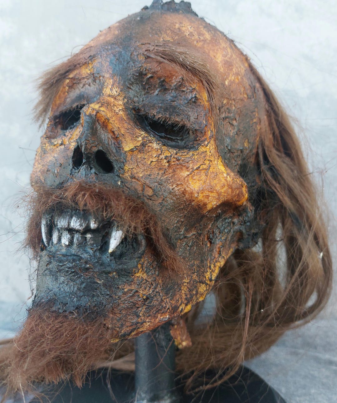 Mummified Vampire Corpse Head / Corpse Sculpture / Mounted Vampire ...