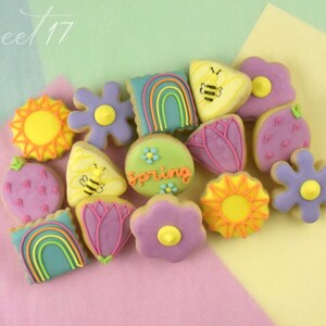 Mini Spring Sugar Cookies Gift Box - Etsy