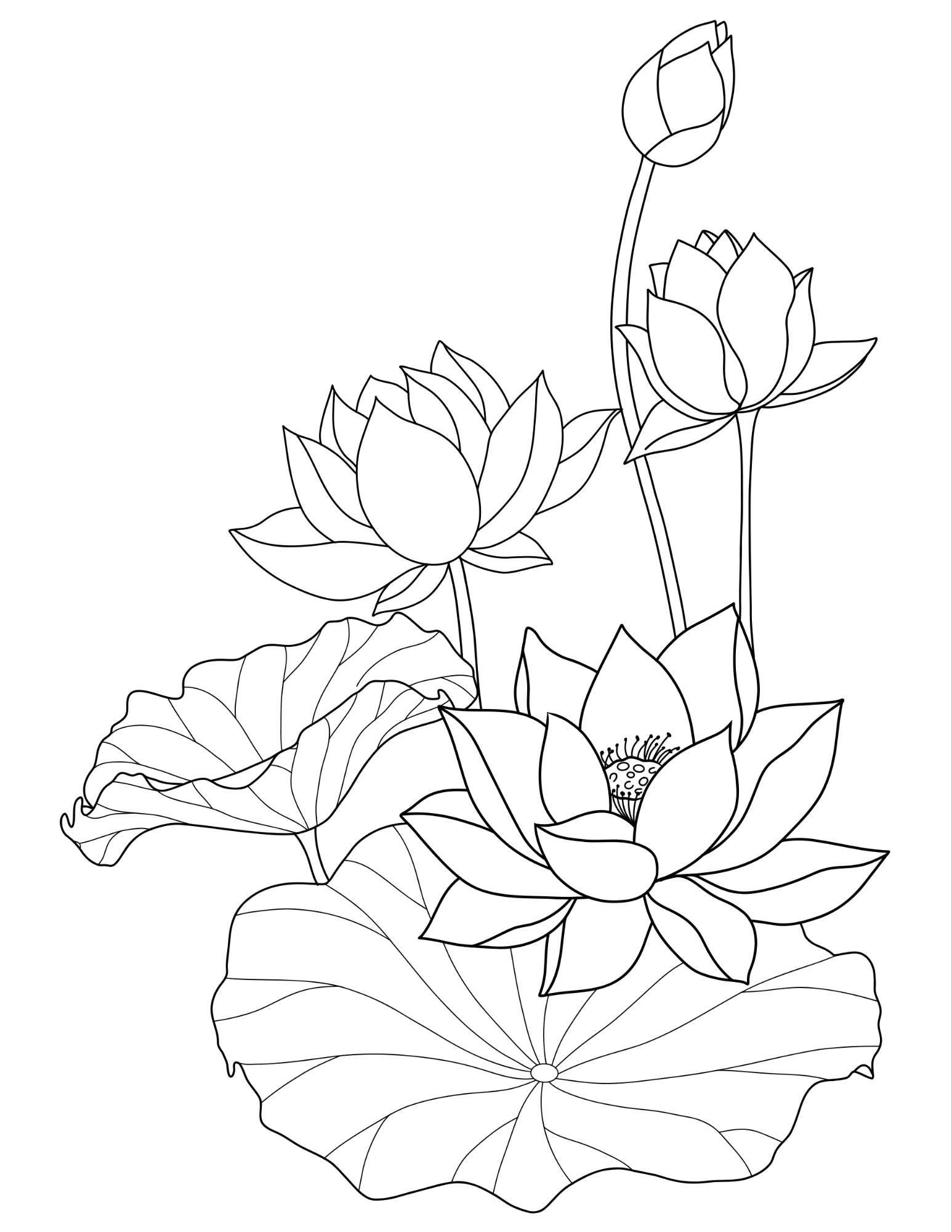 10 Printable Flower Garden Coloring Pages for Adults and Kids - Etsy