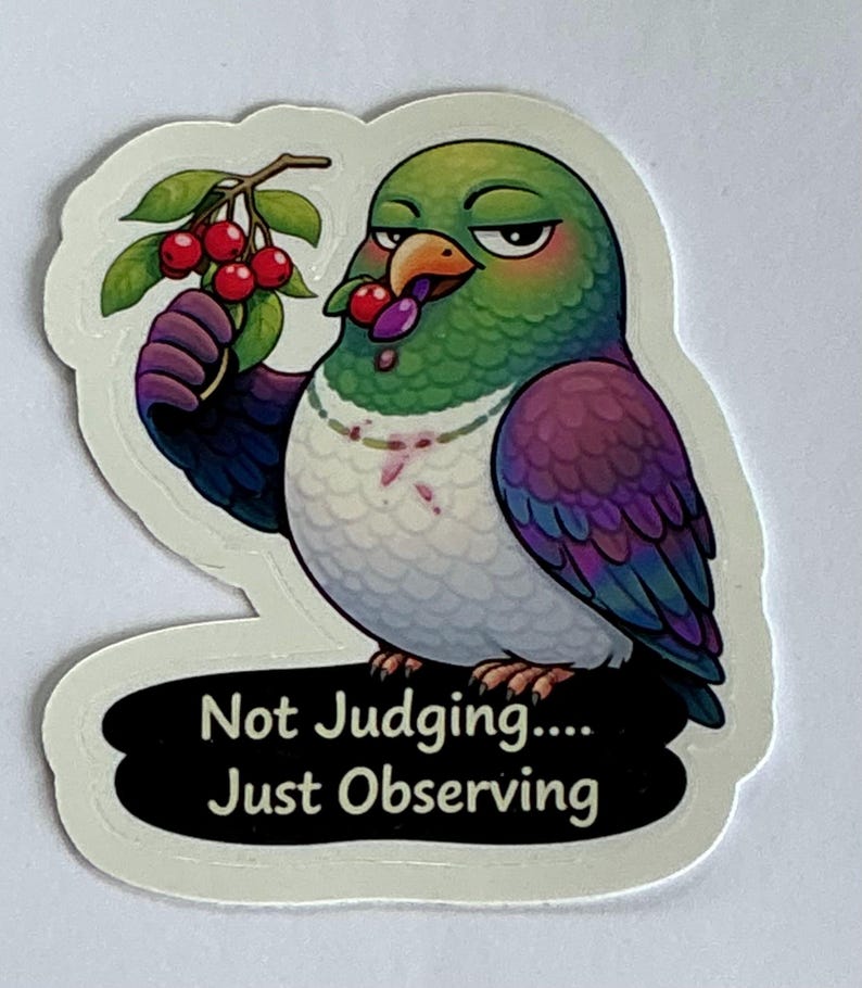 Funny Kereru Bird Sticker | Waterproof Vinyl | New Zealand Native ...