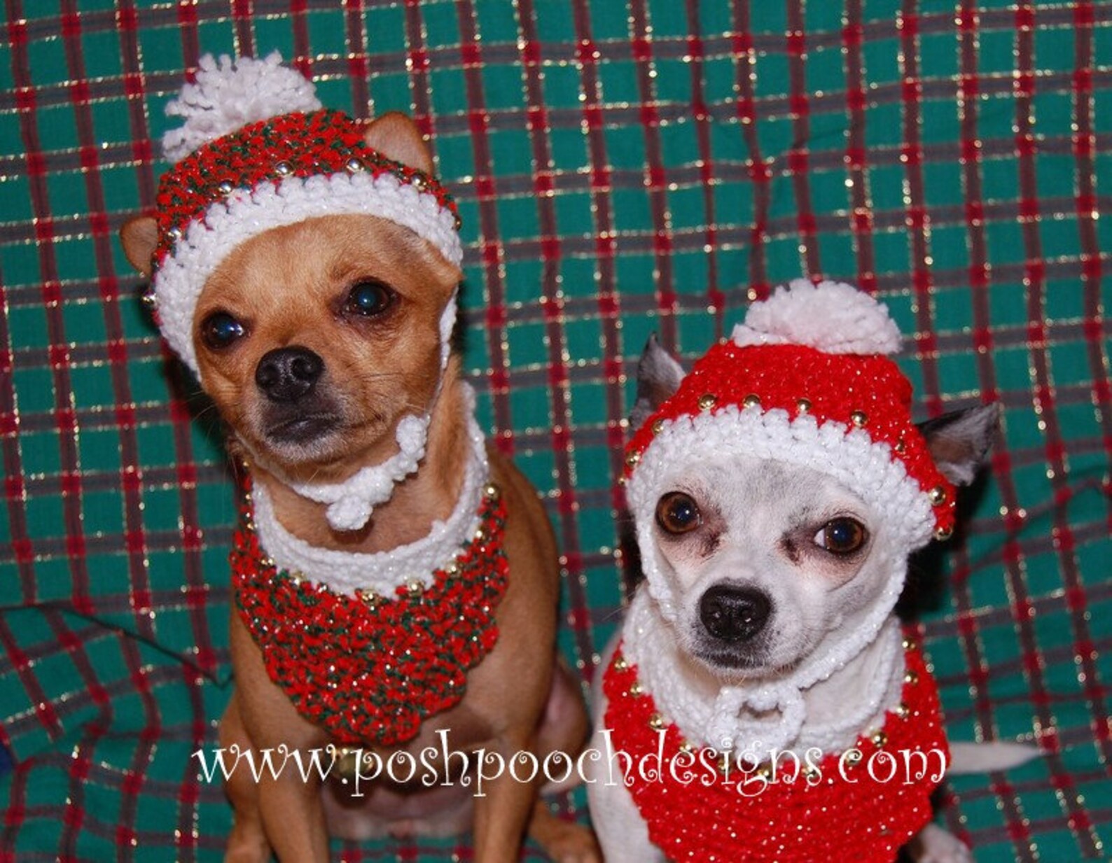 Instant Download Crochet Pattern Christmas Sparkle Dog Hat | Etsy