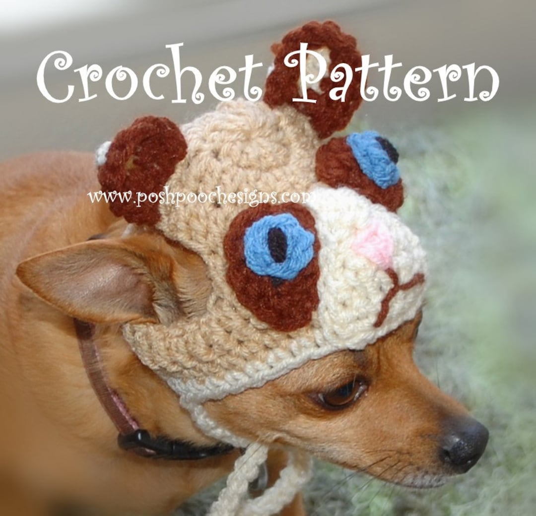 Instant Download Crochet Pattern - the Grumpy Cat Dog Hat- Grumpy Cat ...