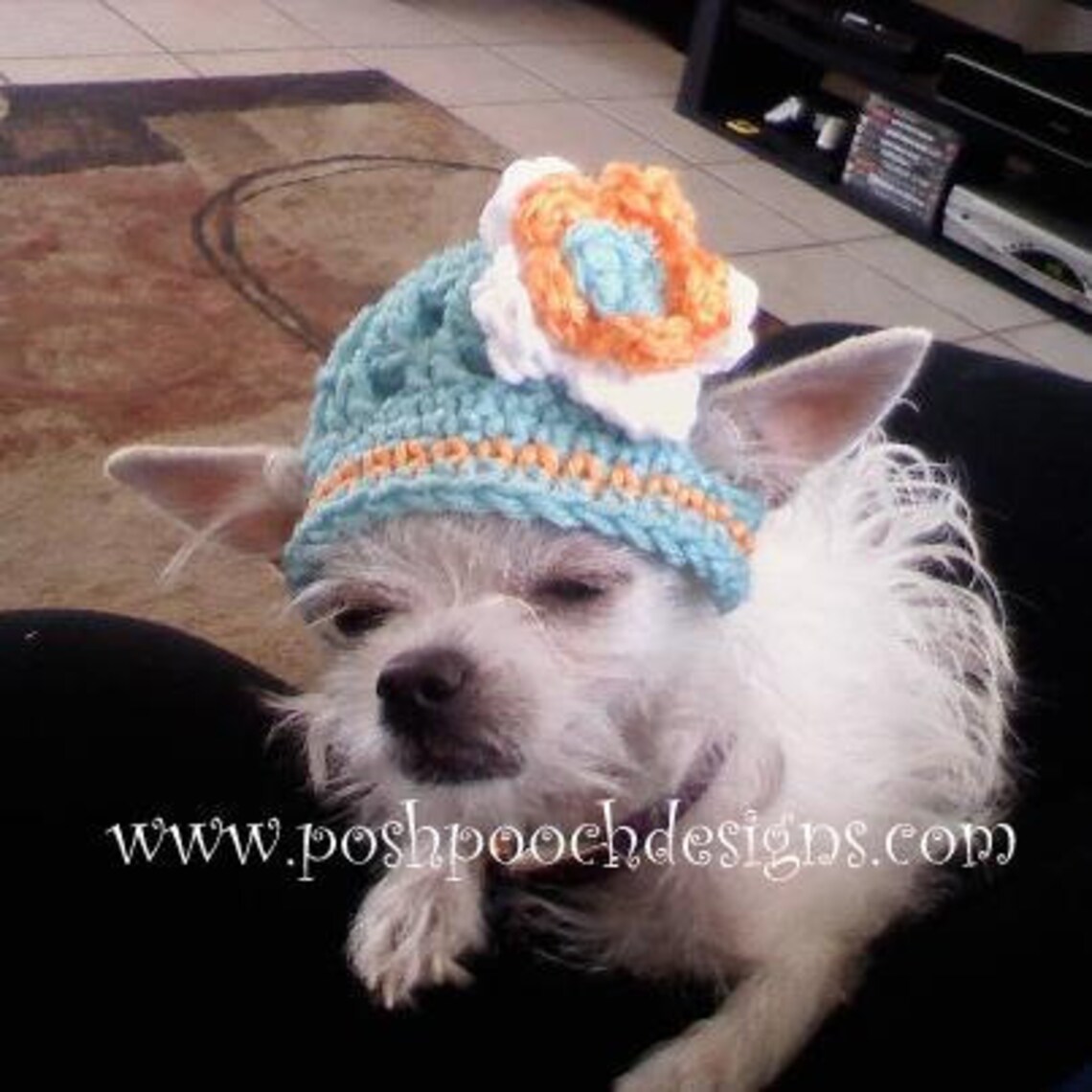Instant Download Crochet Pattern Summer Dog Hat Beanie - Etsy