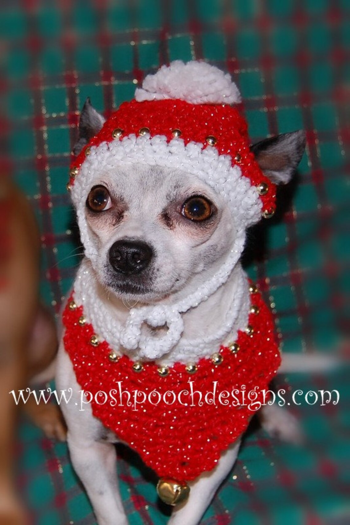 Instant Download Crochet Pattern Christmas Sparkle Dog Hat | Etsy