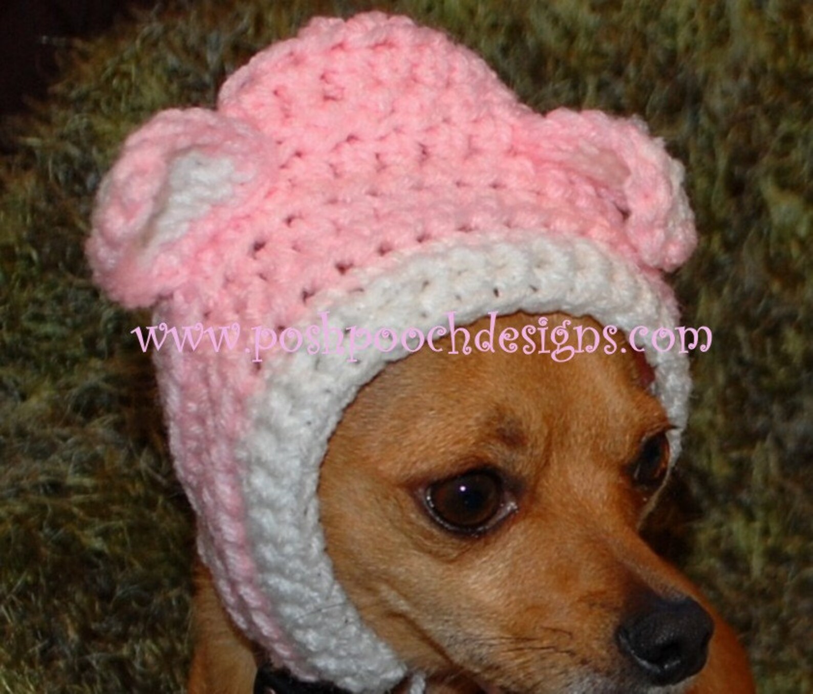 Instant Download Crochet Pattern - Animal Ears Dog Hoodie Small Dog ...